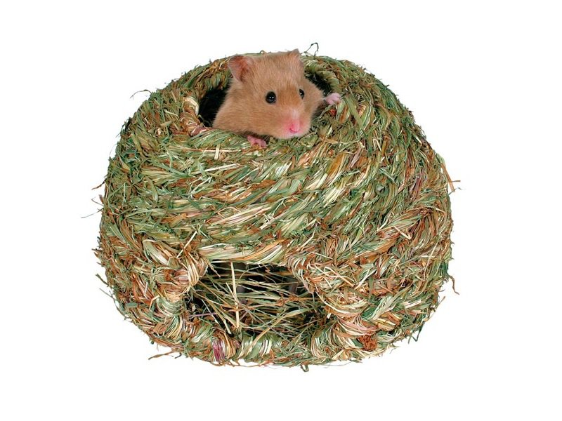 Trixie Apvalus pintas graužikų namas 16 cm parduotuvėje Fera.lt ...